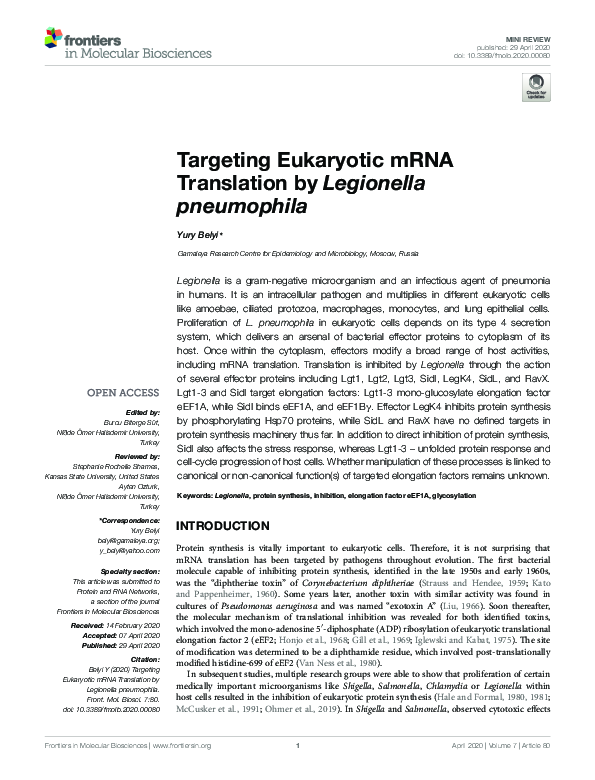 (PDF) Targeting Eukaryotic mRNA Translation by Legionella pneumophila ... (PDF) Targeting Eukaryotic mRNA Translation by Legionella pneumophila ...