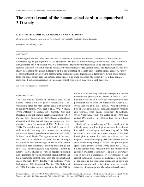 (PDF) The central canal of the human spinal cord: a computerised 3-D study