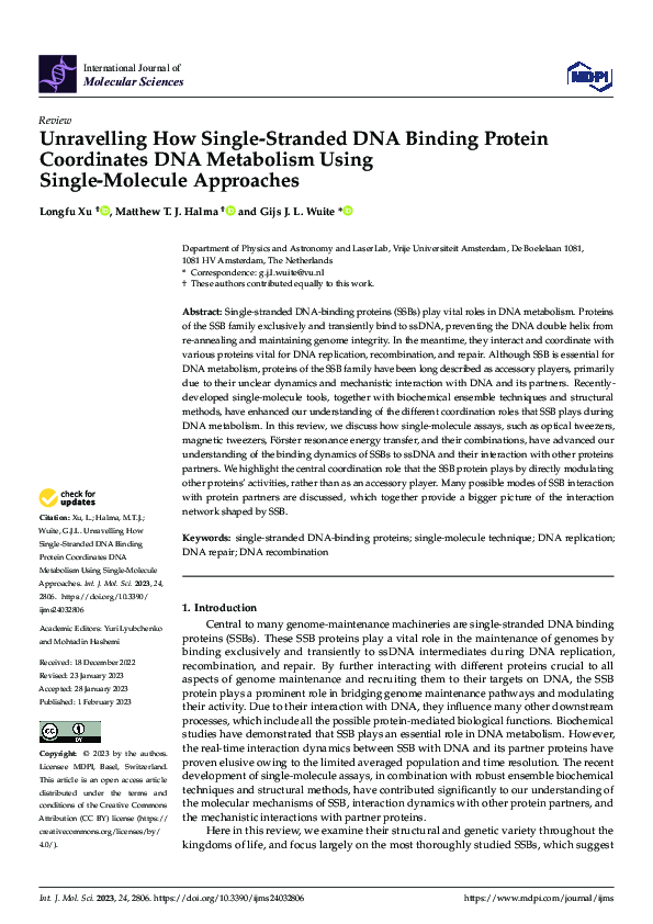 (PDF) Unravelling How Single-Stranded DNA Binding Protein Coordinates ...