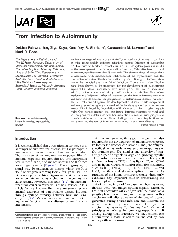 (PDF) From Infection to Autoimmunity