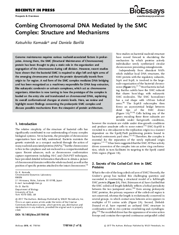 (PDF) Combing Chromosomal DNA Mediated by the SMC Complex: Structure ...