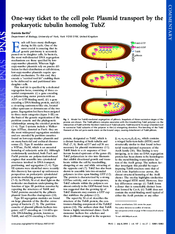 (PDF) One-way ticket to the cell pole: Plasmid transport by the ...