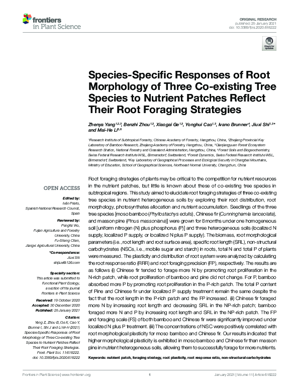 (PDF) Species-Specific Responses of Root Morphology of Three Co ...