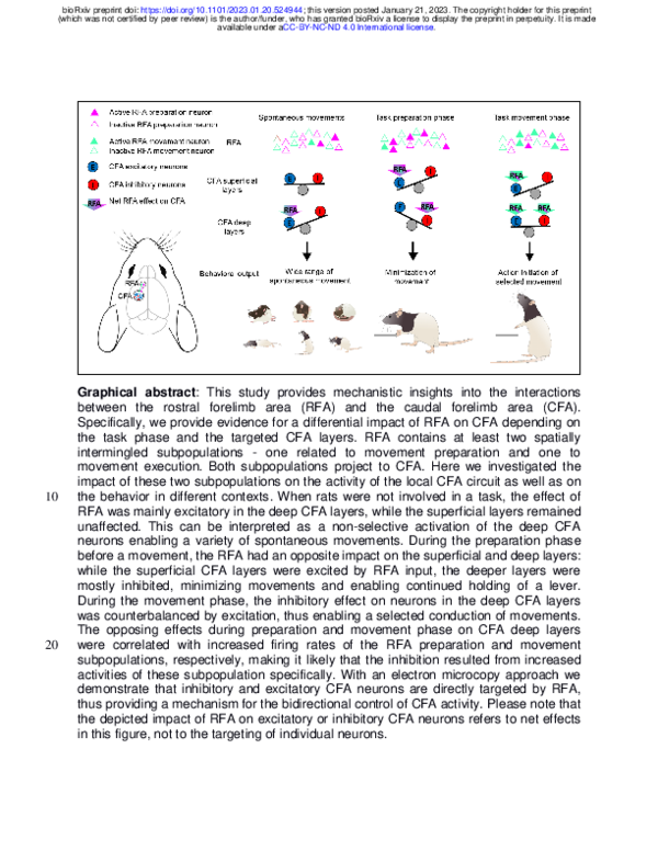 (PDF) Mechanisms of Premotor-Motor Cortex Interactions during Goal Directed Behavior