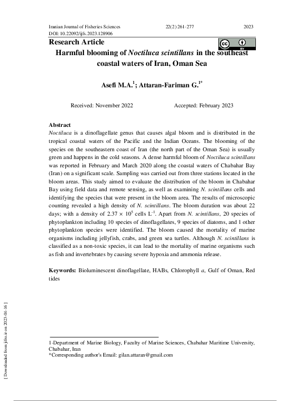 (PDF) Harmful blooming of Noctiluca scintillans in the southeast coastal waters of Iran, Oman Sea