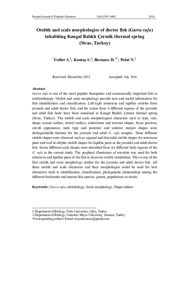 (PDF) Otolith and scale morphologies of doctor fish ( Garra rufa ) inhabiting Kangal Bal ı kl ı ...