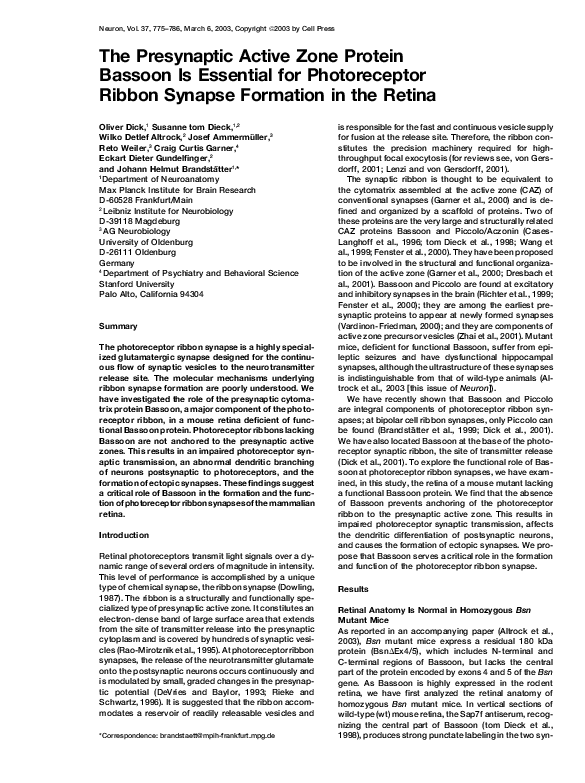 (PDF) The Presynaptic Active Zone Protein Bassoon Is Essential for ...