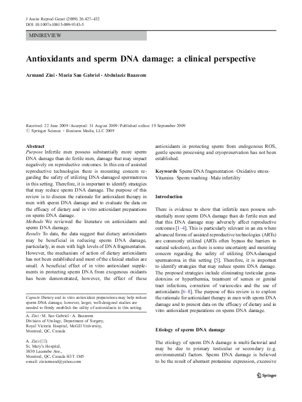 (PDF) Antioxidants and sperm DNA damage: a clinical perspective
