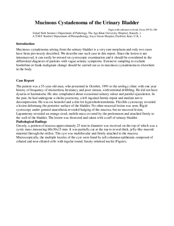 (PDF) Mucinous cystadenoma of the urinary bladder