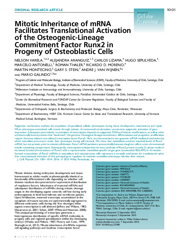 Pdf Mitotic Inheritance Of Mrna Facilitates Translational Activation Of The Osteogenic Lineage
