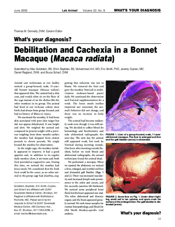 (PDF) What's your diagnosis?: Debilitation and Cachexia in a Bonnet ...