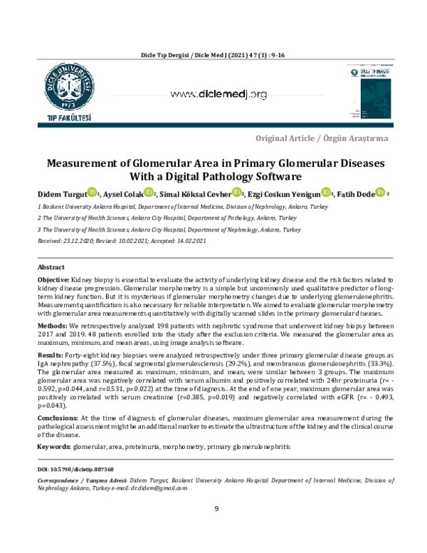 (PDF) Measurement of Glomerular Area in Primary Glomerular Diseases With a Digital Pathology ...