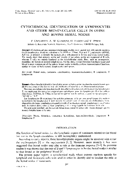 (PDF) Cytochemical identification of lymphocytes and other mononuclear ...
