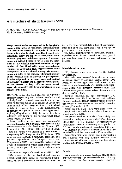 (PDF) Architecture of sheep haemal nodes