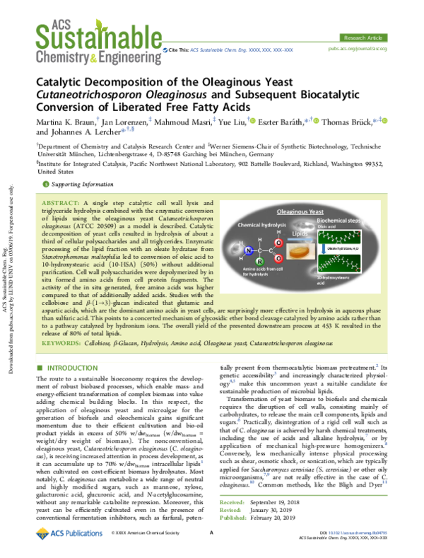 Pdf Catalytic Decomposition Of The Oleaginous Yeast
