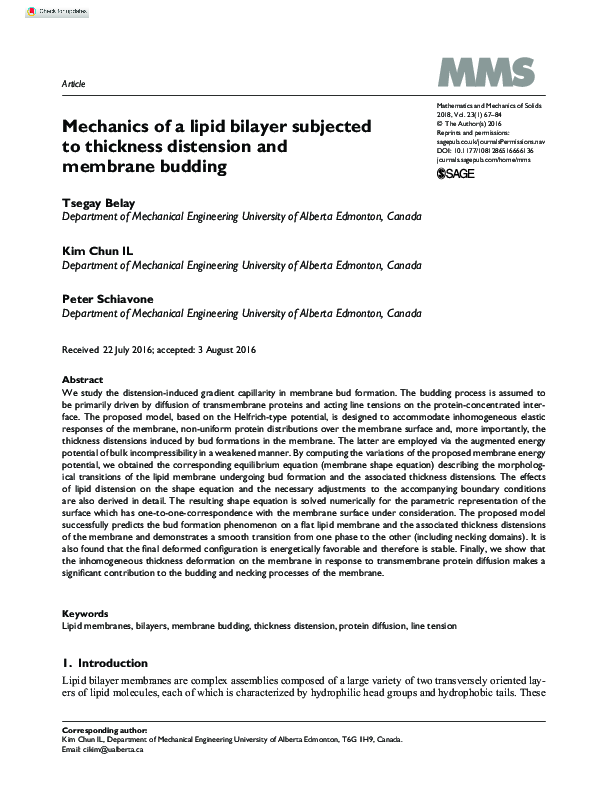 (PDF) Mechanics of a lipid bilayer subjected to thickness distension and membrane budding