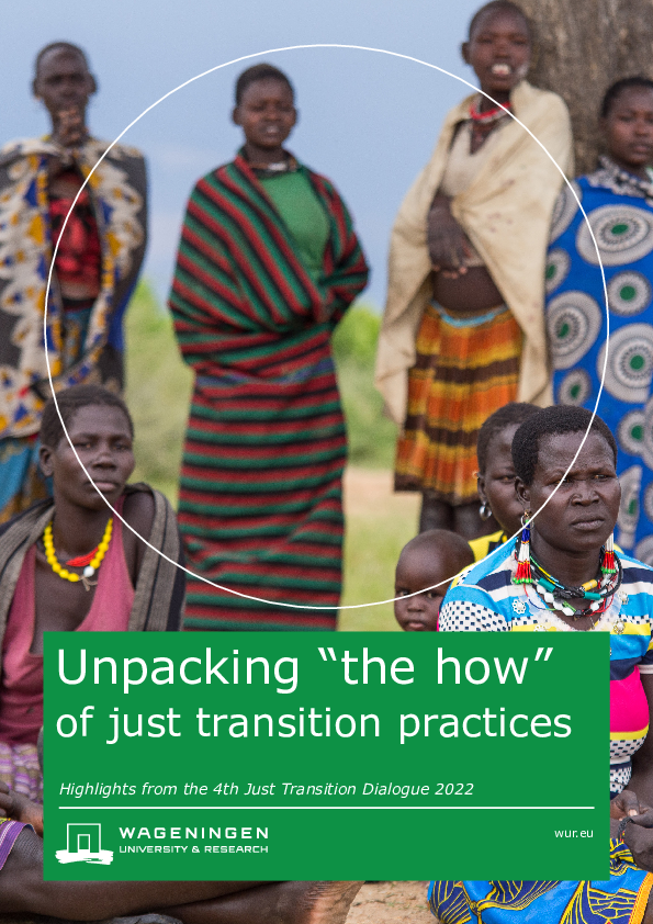 (PDF) Unpacking ‘the how’ of just transition practices : highlights ...