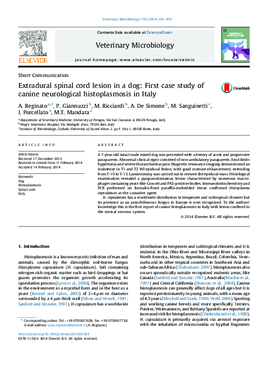 (PDF) Extradural spinal cord lesion in a dog: First case study of ...