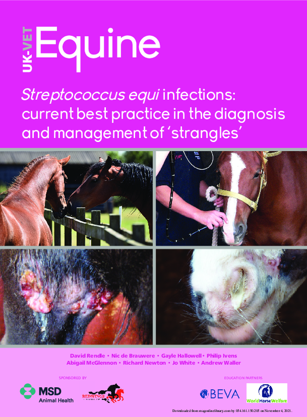 (PDF) Streptococcus equi infections: current best practice in the ...