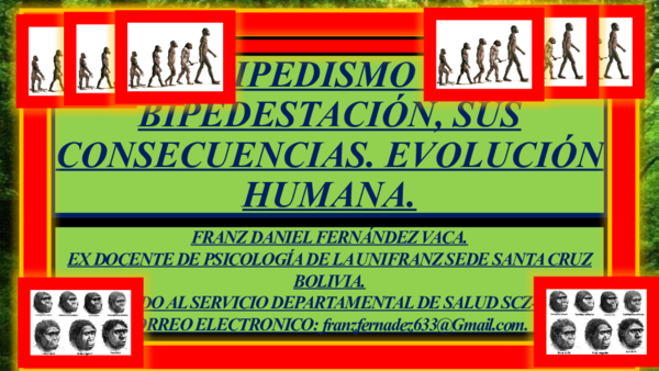 (PPT) TEMA 943. EL BIPEDISMO O BIPESDESTACIÓN, | Franz Daniel Fernández ...
