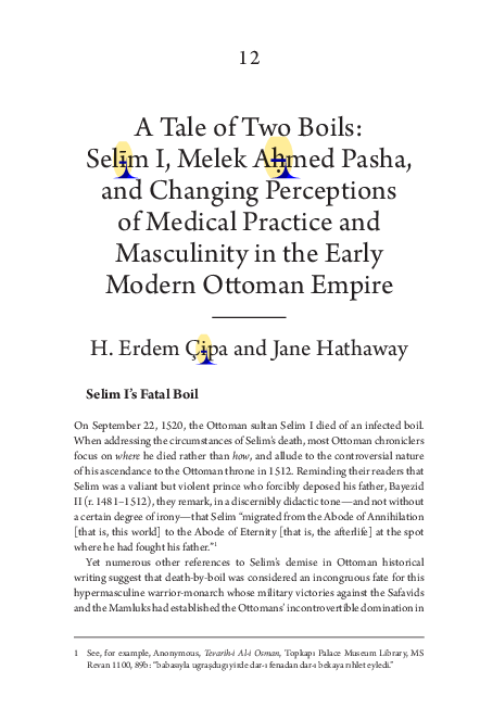 (PDF) A Tale of Two Boils: Selim I, Melek Ahmed Pasha, and Changing ...