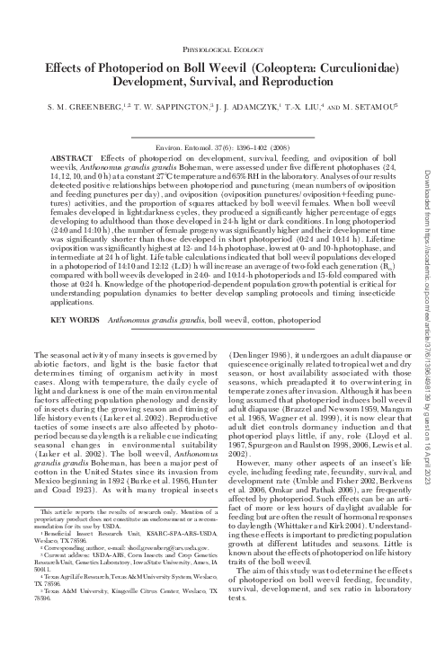(PDF) Effects of Photoperiod on Boll Weevil (Coleoptera: Curculionidae ...