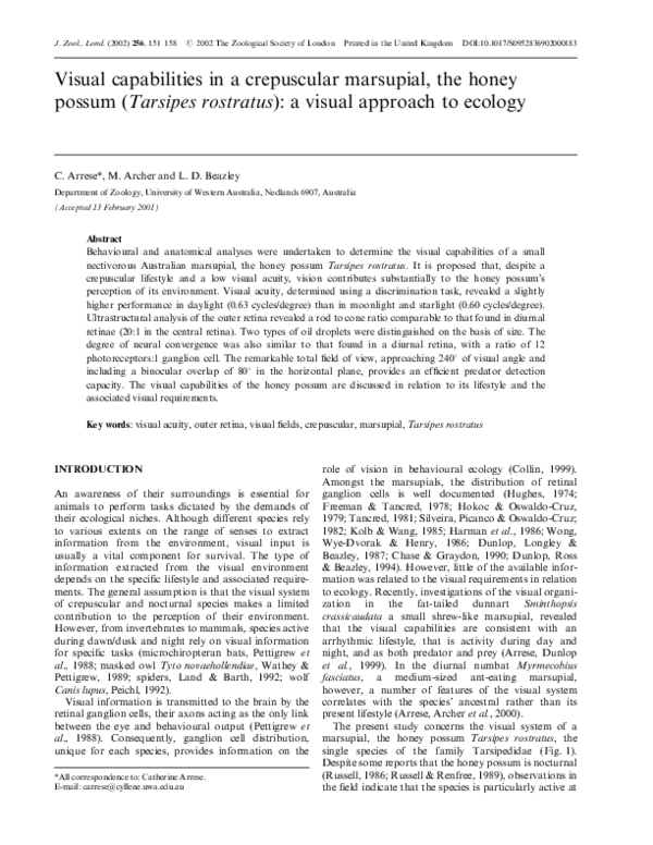 (PDF) Visual capabilities in a crepuscular marsupial, the honey possum ...