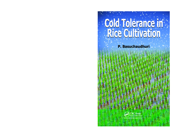 (PDF) Cold Tolerance in Rice Cultivation