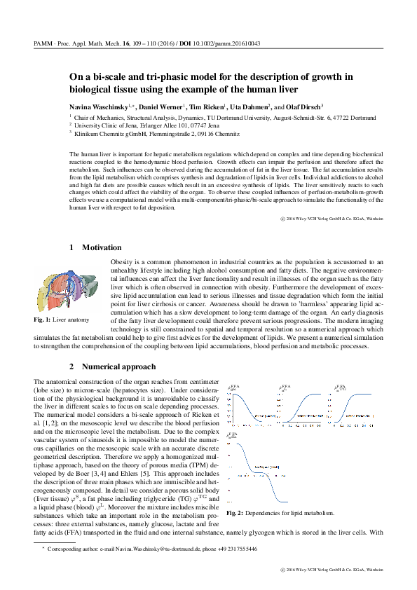 (PDF) On a bi-scale and tri-phasic model for the description of growth in biological tissue ...