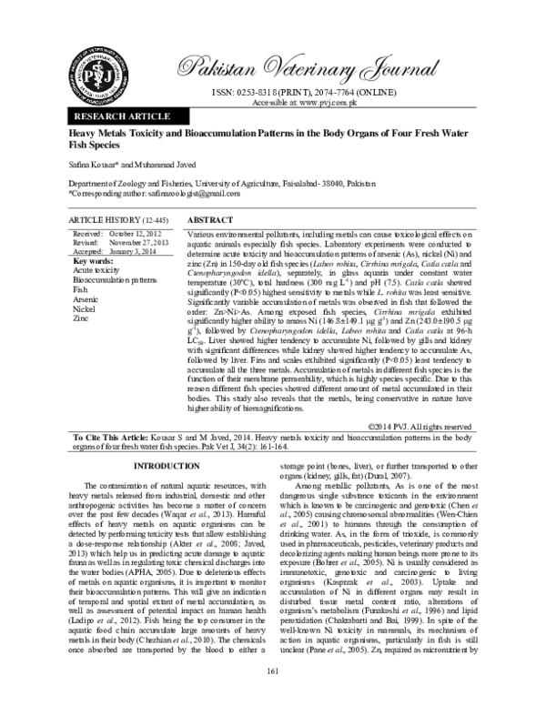 (PDF) Heavy metals toxicity and bioaccumulation patterns in the body ...