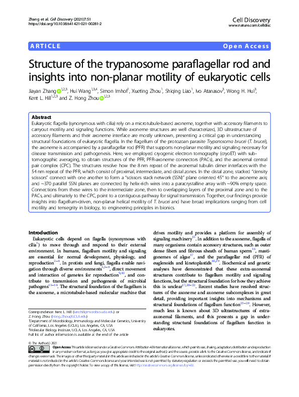(PDF) Structure of the trypanosome paraflagellar rod and insights into ...