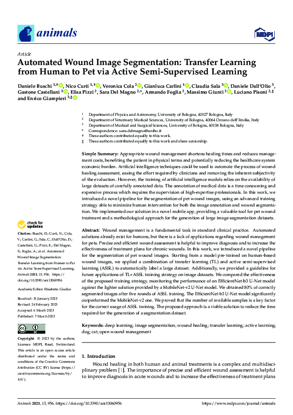 (PDF) Automated Wound Image Segmentation: Transfer Learning from Human to Pet via Active Semi ...