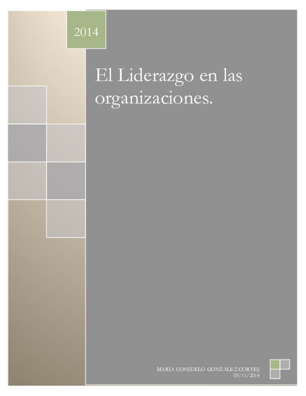 (PDF) El liderazgo en las organizaciones