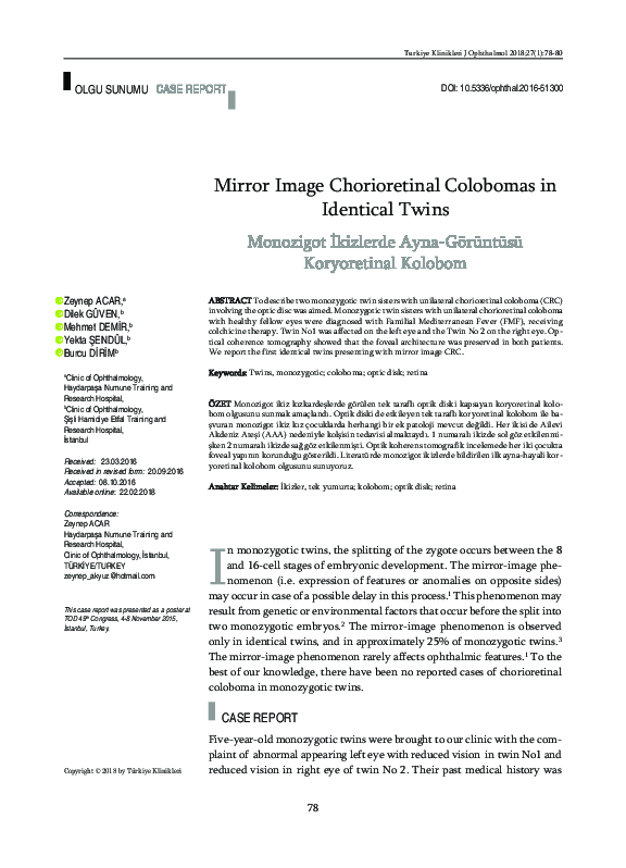 (PDF) Mirror Image Chorioretinal Colobomas in Identical Twins: Case Report