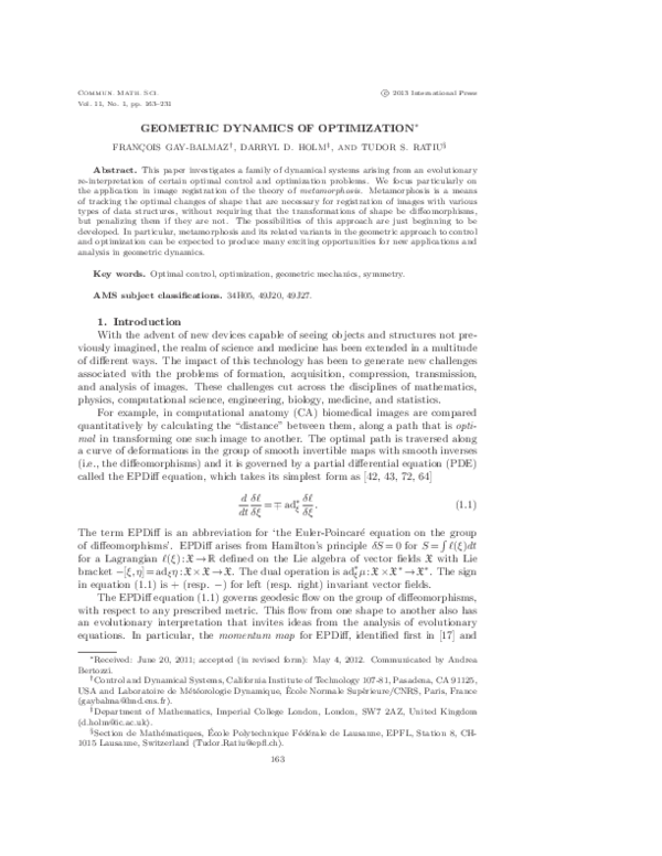 (PDF) Geometric dynamics of optimization