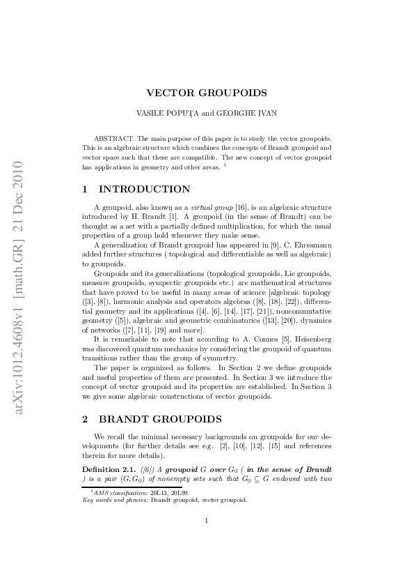 (PDF) Vector groupoids