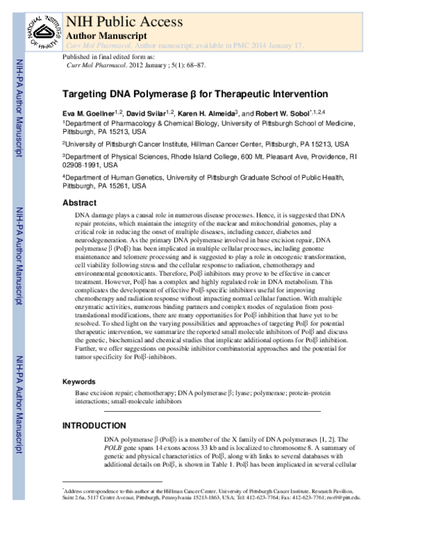 (PDF) Targeting DNA Polymerase ß for Therapeutic Intervention