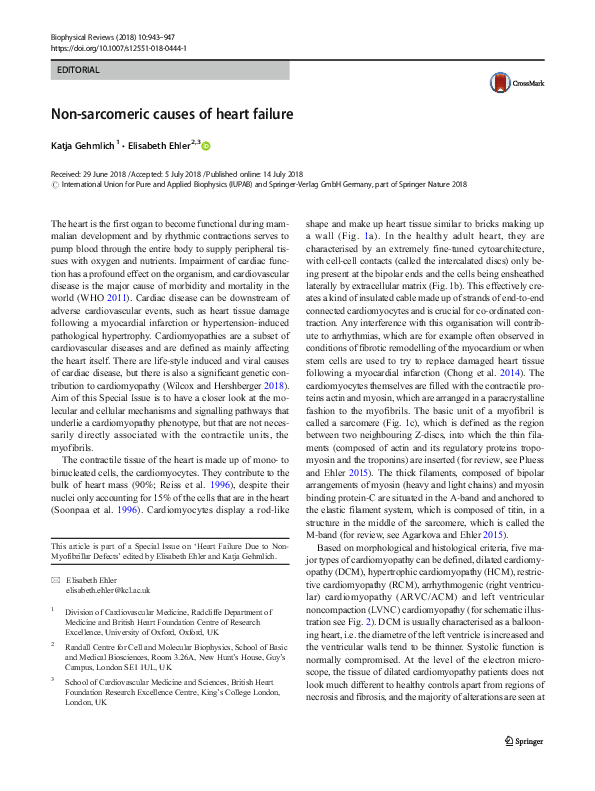 (PDF) Non-sarcomeric causes of heart failure