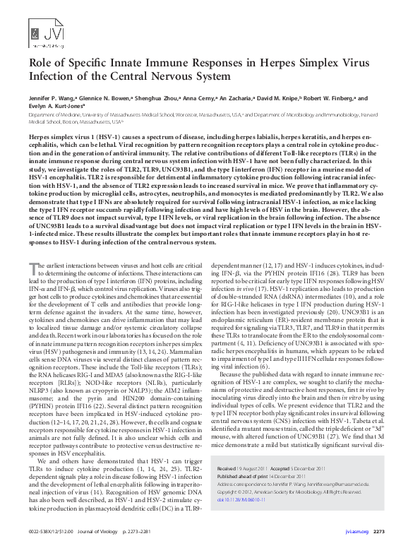 (PDF) Role of Specific Innate Immune Responses in Herpes Simplex Virus ...