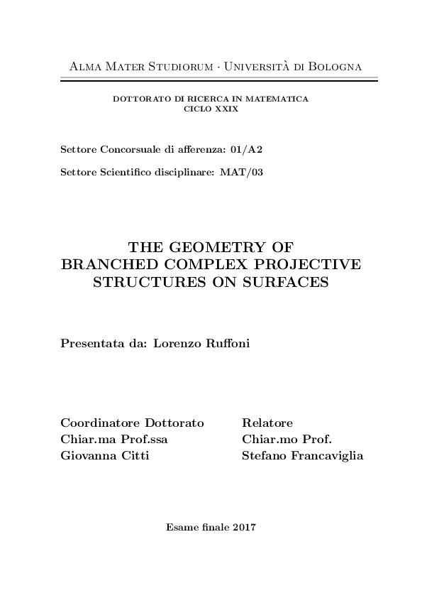 (PDF) The Geometry of Branched Complex Projective Structures on Surfaces