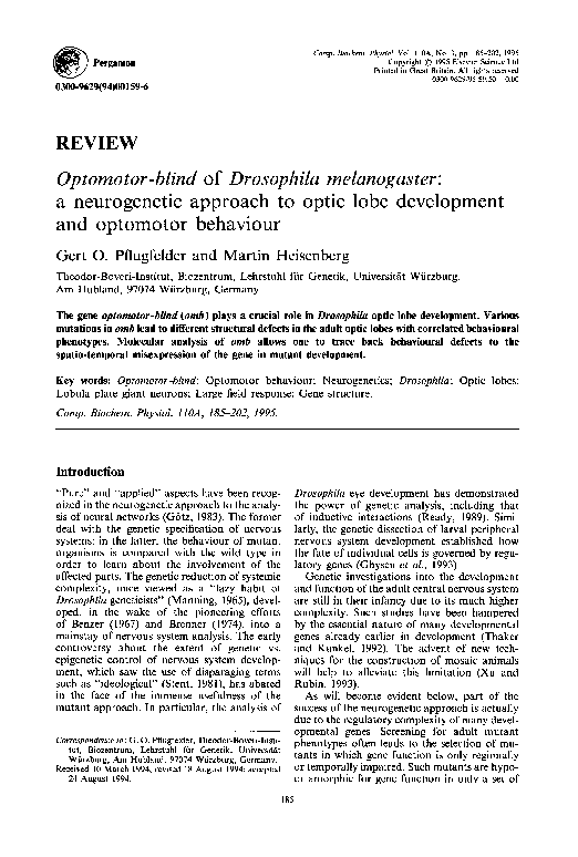(PDF) Optomotor-blind of Drosophila melanogaster: a neurogenetic ...