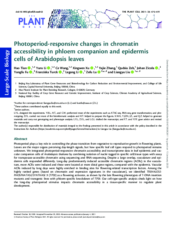 (PDF) Photoperiod-responsive changes in chromatin accessibility in phloem companion and ...