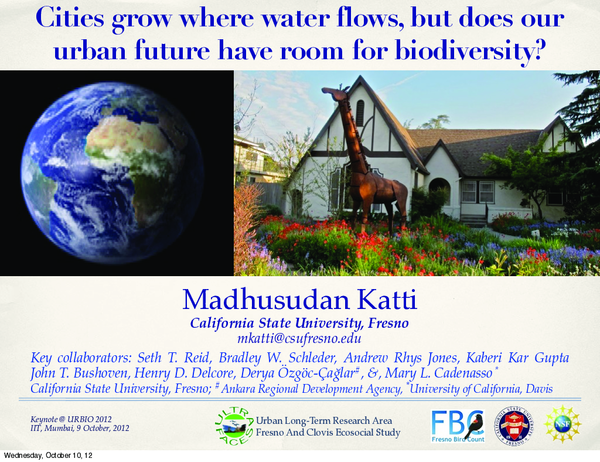 (PDF) URBIO 2012 Keynote: Cities grow where water flows, but how much ...