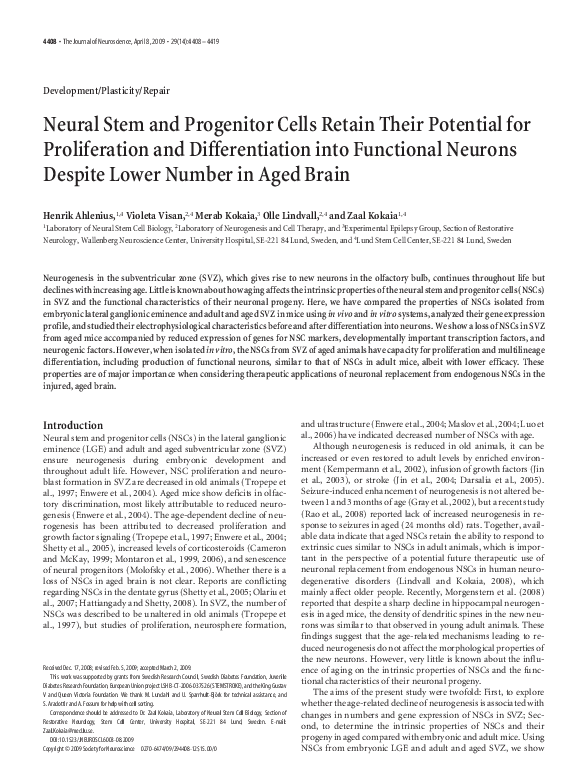 (PDF) Neural Stem and Progenitor Cells Retain Their Potential for ...