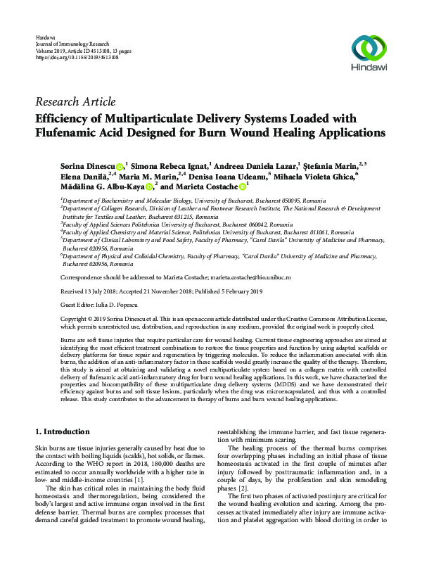 (PDF) Efficiency of Multiparticulate Delivery Systems Loaded with ...