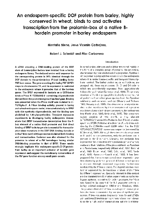 (PDF) An endosperm-specific DOF protein from barley, highly conserved ...