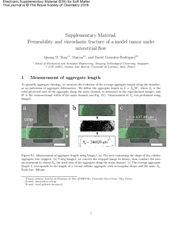 (PDF) Permeability and viscoelastic fracture of a model tumor under ...