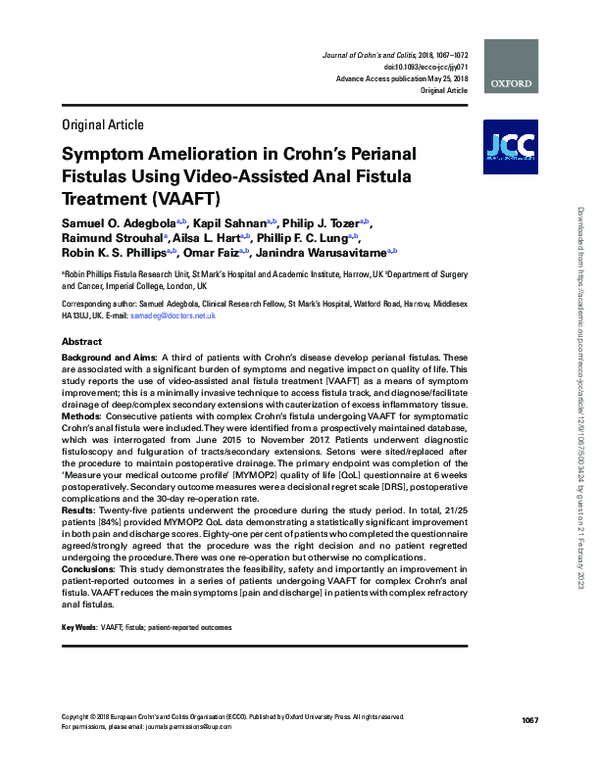 (PDF) Symptom amelioration in Crohn's perianal fistulas using video ...
