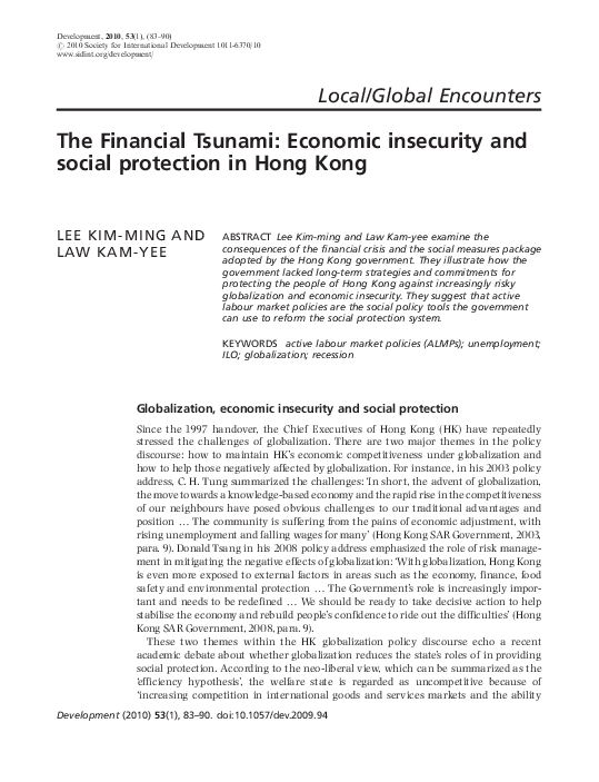 (PDF) The Financial Tsunami: Economic insecurity and social protection ...