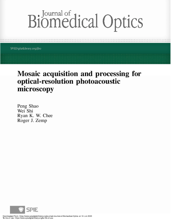 (PDF) Mosaic acquisition and processing for optical-resolution ...